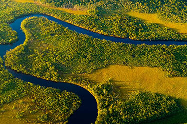 Voyage en Amazonie | Nos Circuits et Croisières Amazonie | Amplitudes