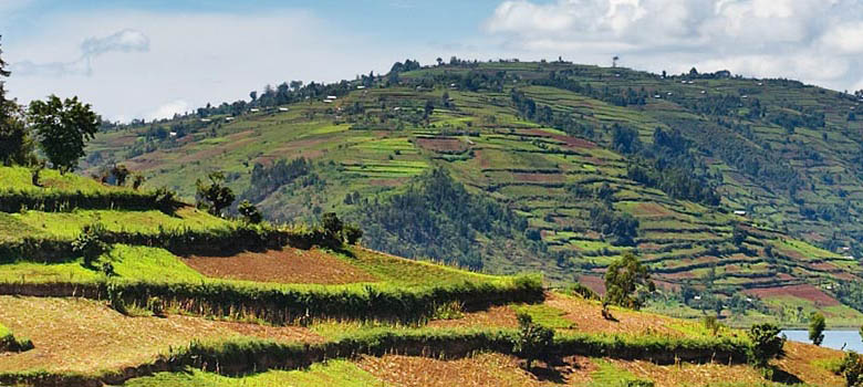 Voyage Ouganda sur Mesure : Votre Agence Spécialisée