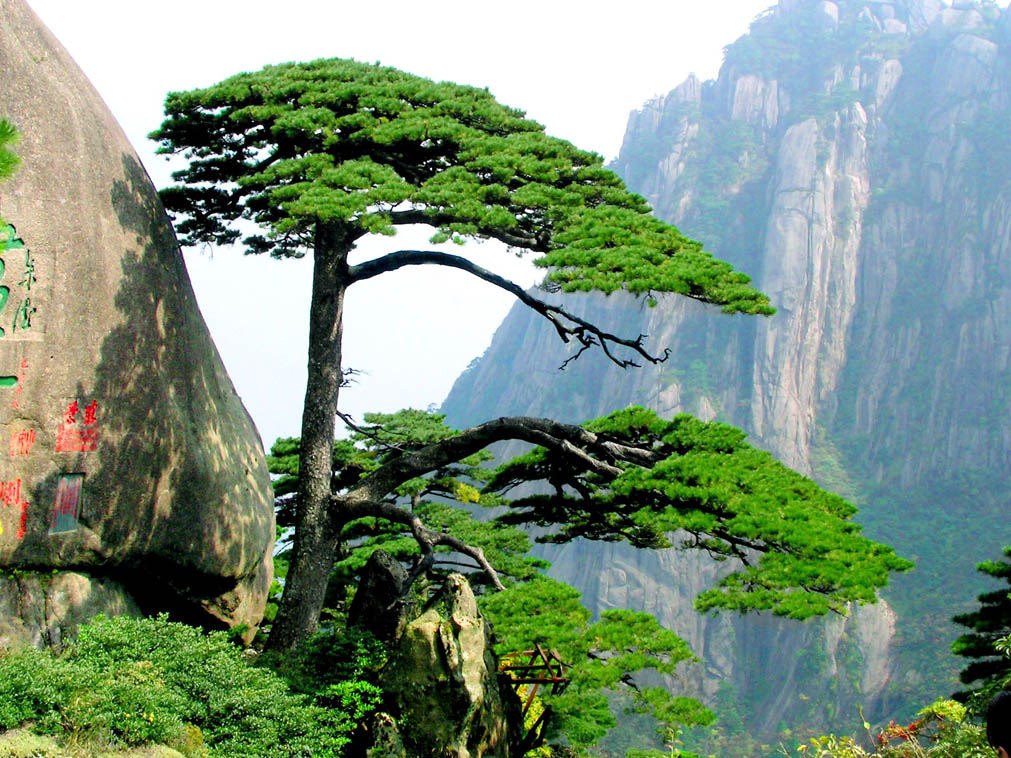 Séjour sur mesure en Chine : « Huang Shan, la Montagne Jaune » | Amplitudes